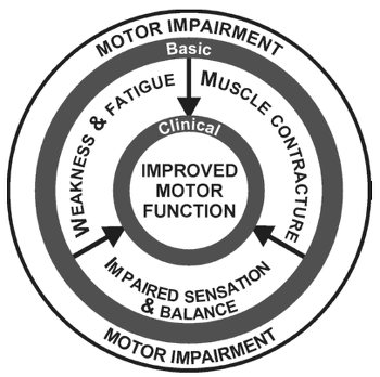 Program focus - Motor Impairment